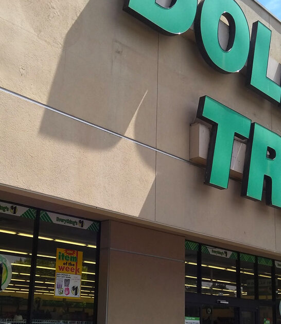 washington massive dollar store ftr