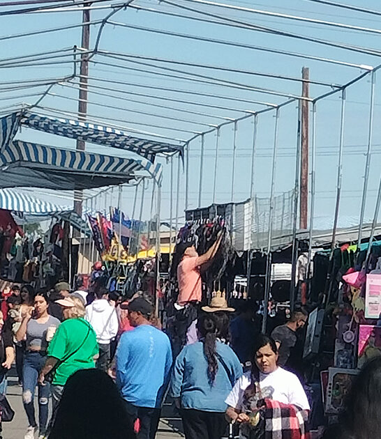 washington massive market day ftr