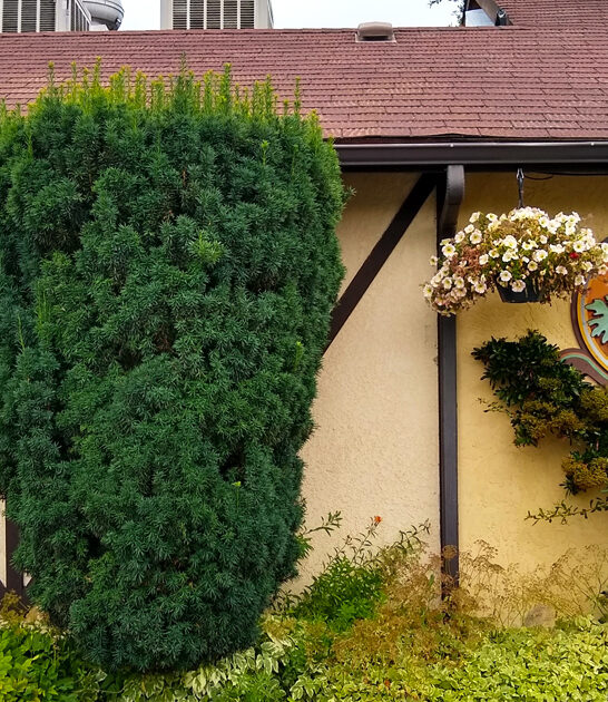 washington roadtrip worthy breakfast ftr