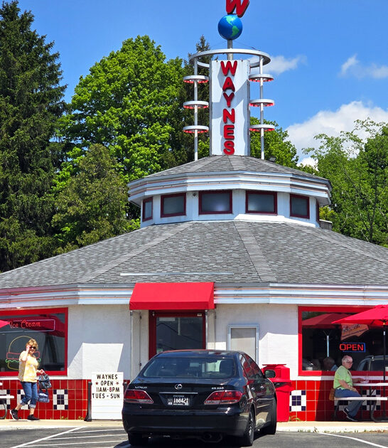 wisconsin delicious onion rings ftr