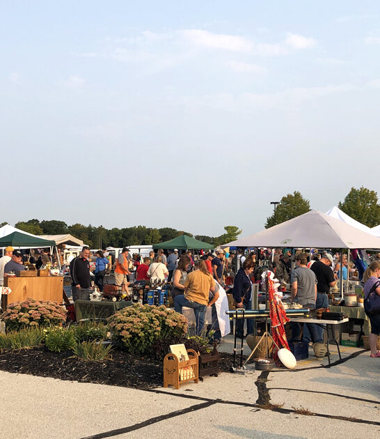 wisconsin flea market adventure ftr