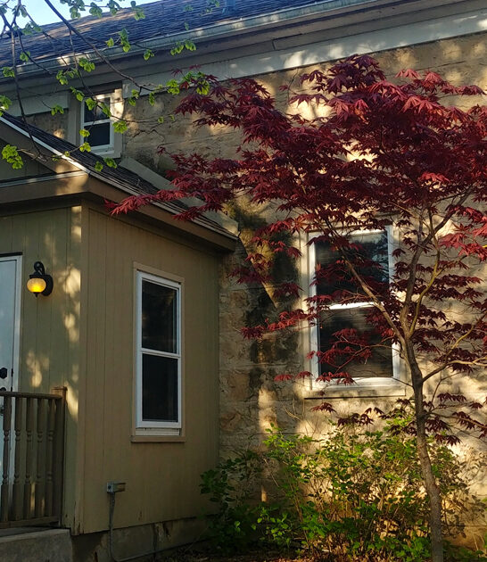 wisconsin outrageously delicious steaks ftr