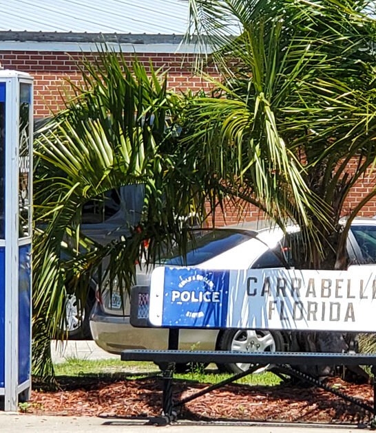 wonderful roadside attractions florida ftr