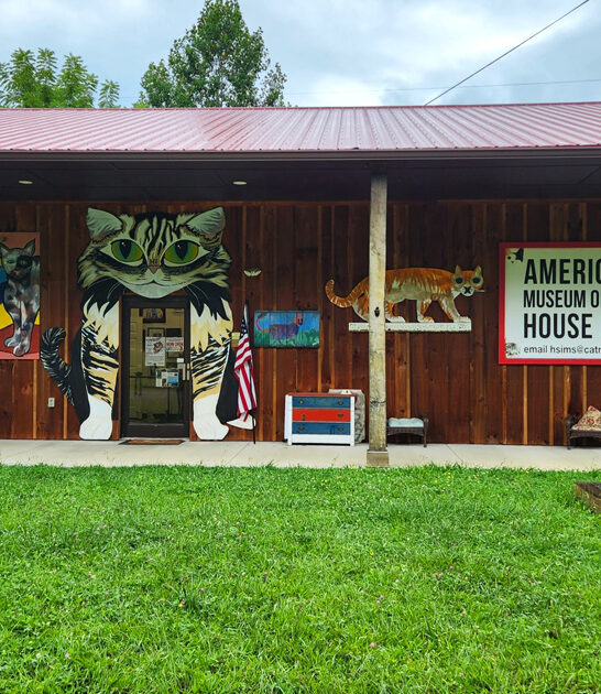 wonderfully museum north carolina ftr