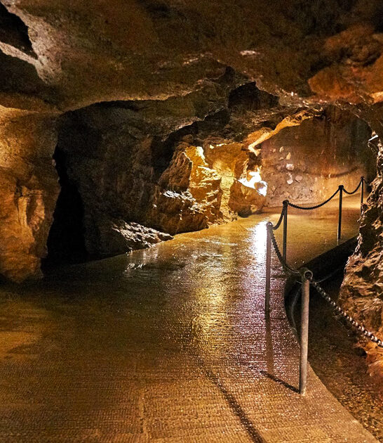 world cave north carolina ftr