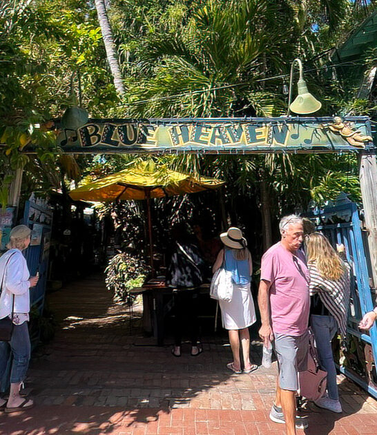 yellowtail snapper quirky florida ftr
