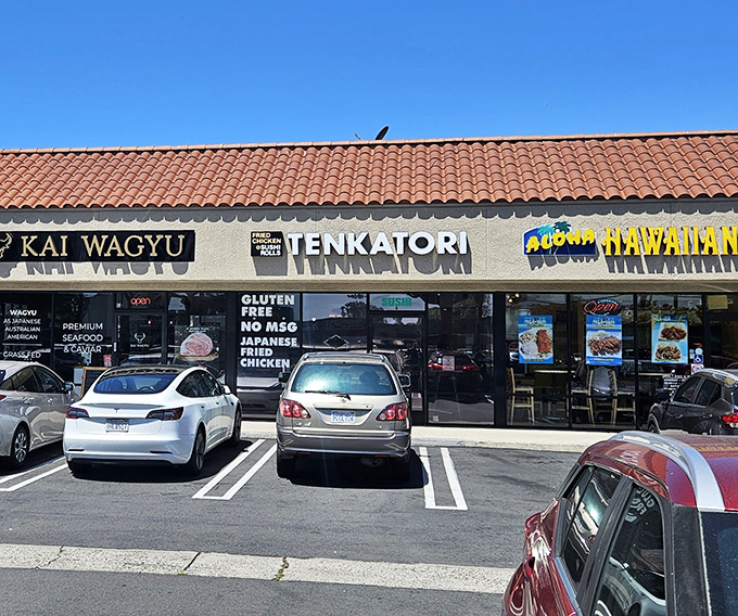 Tucked between neighbors in a Costa Mesa strip mall, Tenkatori's modest storefront hides culinary treasures that would make even the most jaded food critic weep with joy.