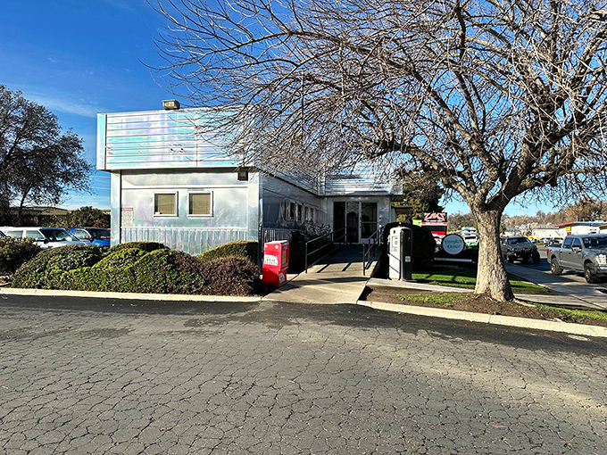 The gleaming stainless steel exterior of Dimples Diner shines like a beacon of hope for hungry travelers. Mid-century modern meets comfort food paradise.