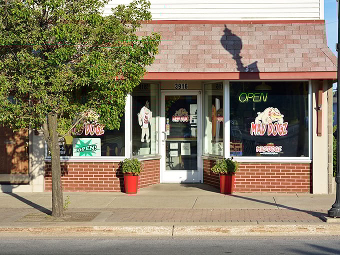 The unassuming storefront of Mad Dogz in Comstock Park might not look like a culinary destination, but those red planters are practically waving you in for flavor adventures.
