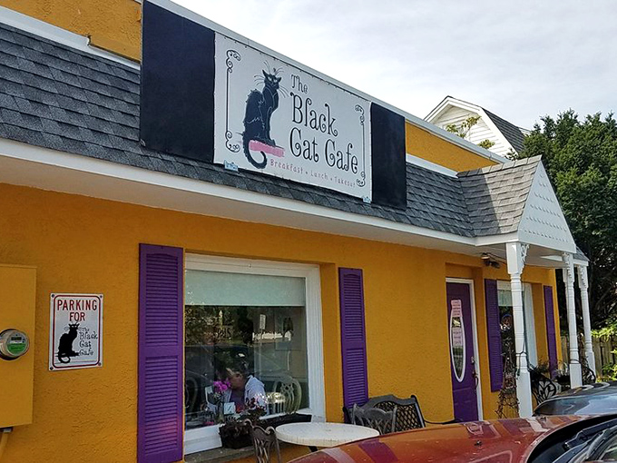 The sunshine-yellow exterior with purple accents makes The Black Cat Cafe impossible to miss, like a cheerful beacon for hungry travelers in Devon.