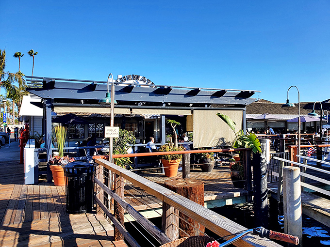 Bluewater Grill's waterfront deck beckons like a siren song, promising seafood treasures with that million-dollar Newport Harbor view.