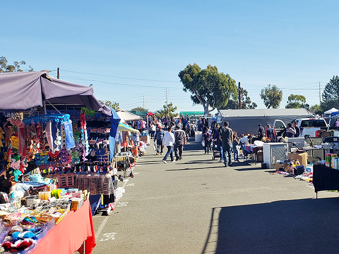 The weekend treasure hunt begins! Rows of colorful stalls stretch into the distance under perfect San Diego skies, promising discoveries at every turn.