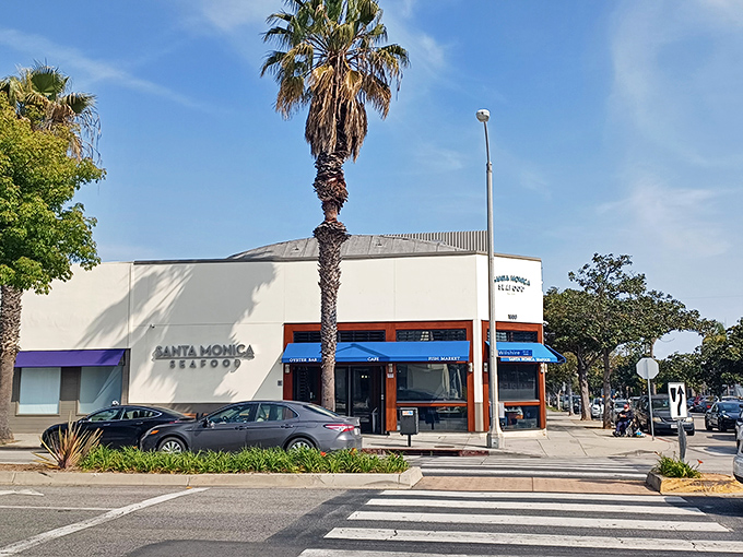 The unassuming corner storefront that houses more seafood wisdom than most maritime museums. California palms stand guard outside this coastal treasure.
