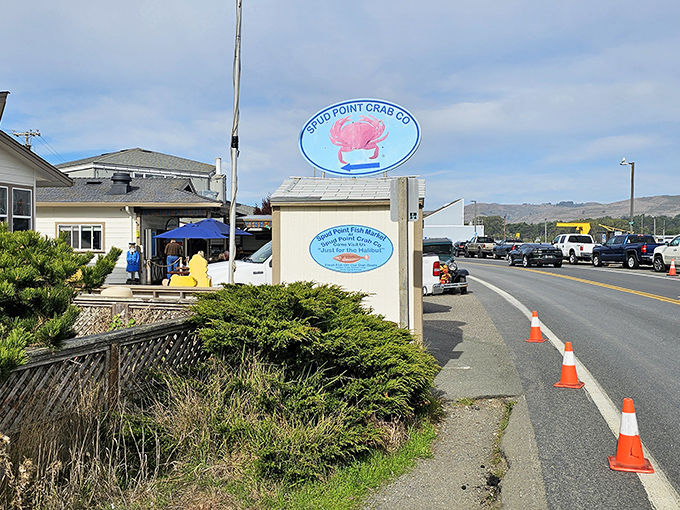 The coastal beacon of seafood salvation! Spud Point Crab Company's cheerful blue sign welcomes hungry pilgrims to this unassuming temple of maritime delights.