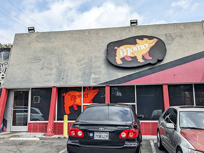 The unassuming exterior of Carnitas El Momo hides culinary treasures within. Like finding a Picasso at a yard sale, this modest storefront delivers unexpected greatness.