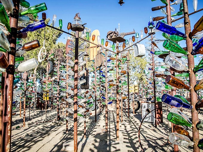 A kaleidoscope forest where discarded bottles find new purpose, creating desert magic one colorful tree at a time.