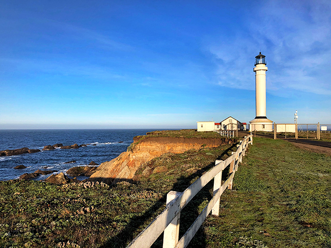 Standing sentinel against the Pacific, Point Arena Lighthouse's gleaming white tower creates a postcard-perfect silhouette against California's impossibly blue sky.