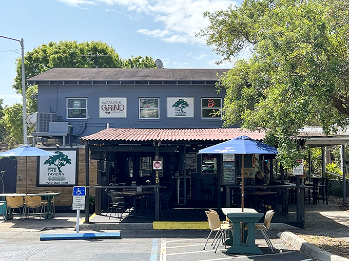 The unassuming blue exterior of The Tavern at Bayboro stands like a culinary speakeasy, promising authentic flavors without the fanfare of trendier establishments.