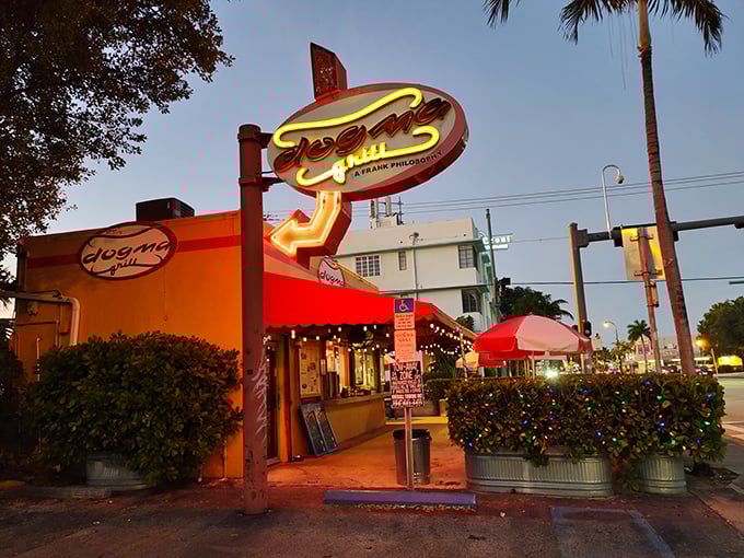 The neon glow of Dogma's sign beckons like a lighthouse for the hungry, promising salvation in the form of perfect street food.
