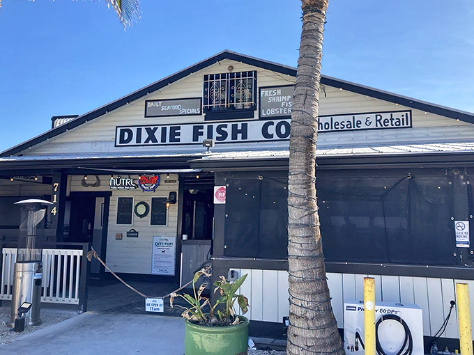 The classic white-and-black exterior of Dixie Fish Co. stands like a siren call to seafood lovers, palm trees swaying in welcome against that perfect Florida sky.