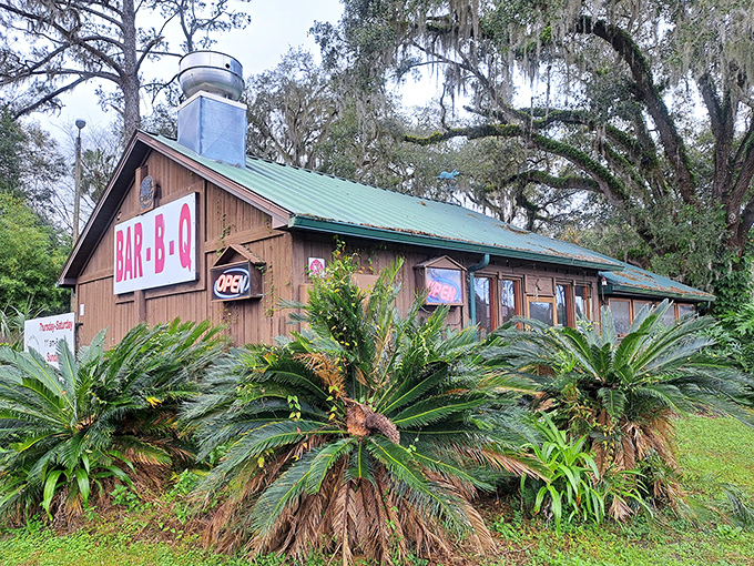 Nestled under Spanish moss-draped oaks, this wooden shrine to smoke and fire looks like it was built by barbecue angels with Florida zip codes.