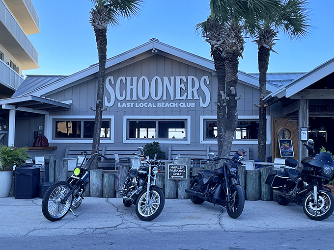 The ultimate beach bum's paradise! Schooners proudly declares itself the "Last Local Beach Club," with motorcycles parked out front like exclamation points to that statement.
