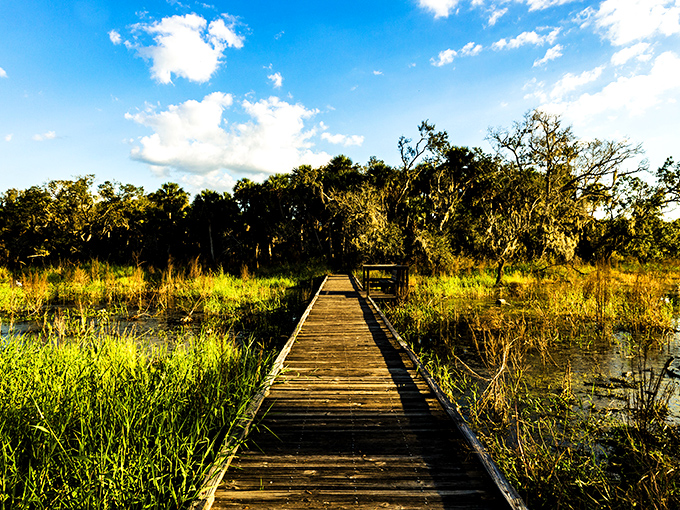 The wooden boardwalk stretches into wetland infinity, where Florida's wild heart beats beneath skies that could make a cloudspotter weep with joy.