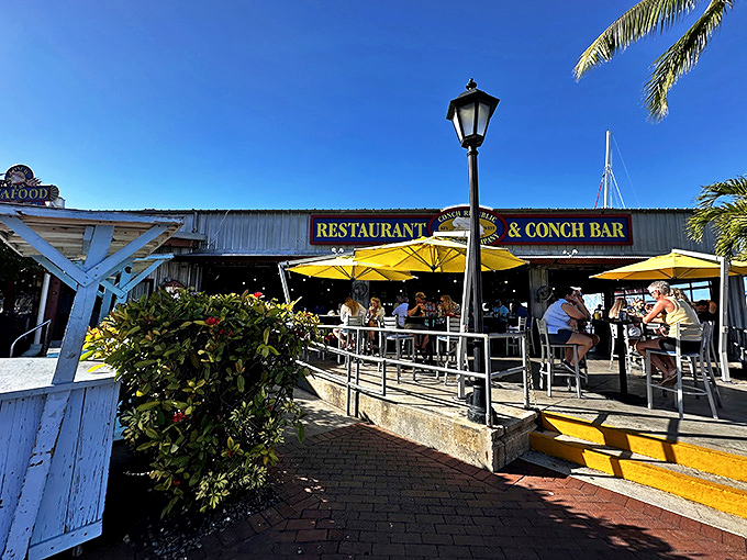 The ultimate Florida Keys welcome sign: sun-drenched outdoor seating with that unmistakable "you're on vacation now" vibe.