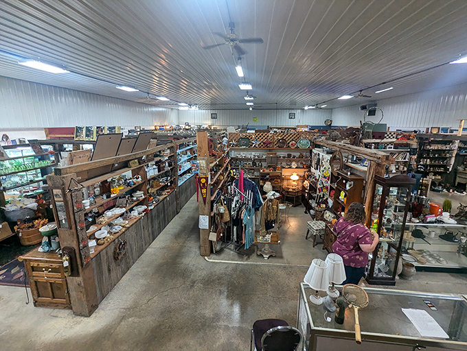 A treasure hunter's paradise where every aisle promises discovery. The white-paneled ceiling hovers above a labyrinth of memories waiting to be claimed.