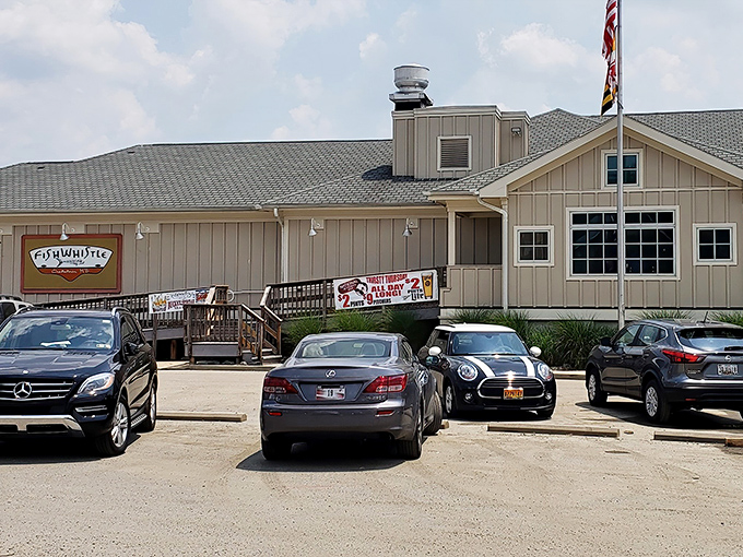 The unassuming exterior of Fish Whistle belies the culinary treasures within&mdash;like finding a pearl in the most ordinary-looking oyster. 