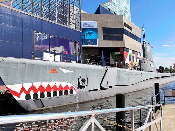 The USS Torsk greets visitors with its fierce shark-mouth paint job &ndash; a not-so-subtle reminder that this predator once hunted enemy ships beneath the waves.