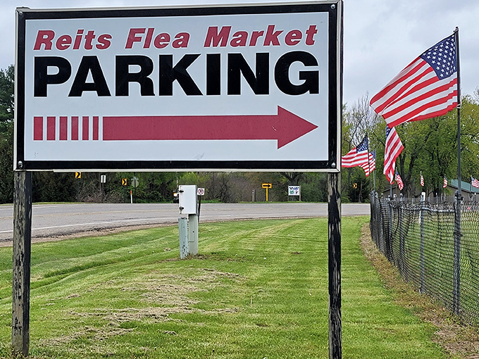 Treasure hunting begins here! Blue canopies shelter endless possibilities while vendors arrange their wares, each table a miniature museum of potential discoveries.