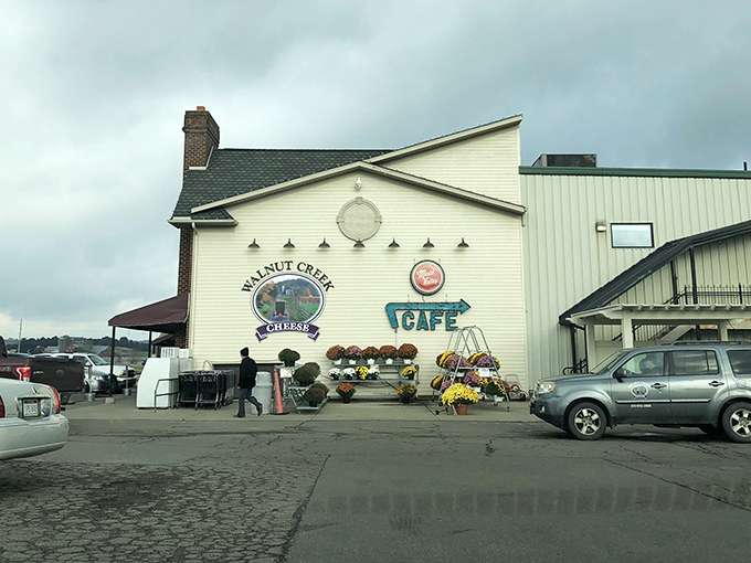 The unassuming exterior of Walnut Creek Cheese belies the wonderland within&mdash;like finding Narnia in Ohio's Amish Country.