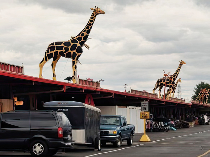 Those iconic giraffes perched atop Traders World's red roofs are like Ohio's version of the Hollywood sign&mdash;you know adventure awaits beneath them.