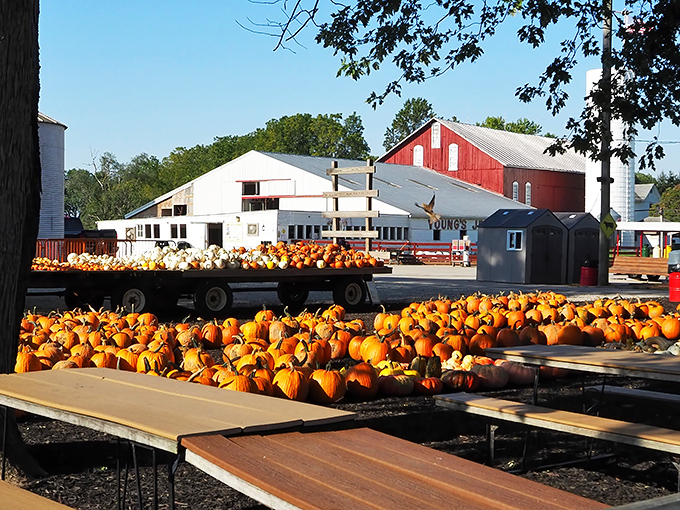 The iconic red barn and silo of Young's Jersey Dairy stands proudly against the Ohio sky, a beacon of dairy deliciousness for generations of ice cream pilgrims.