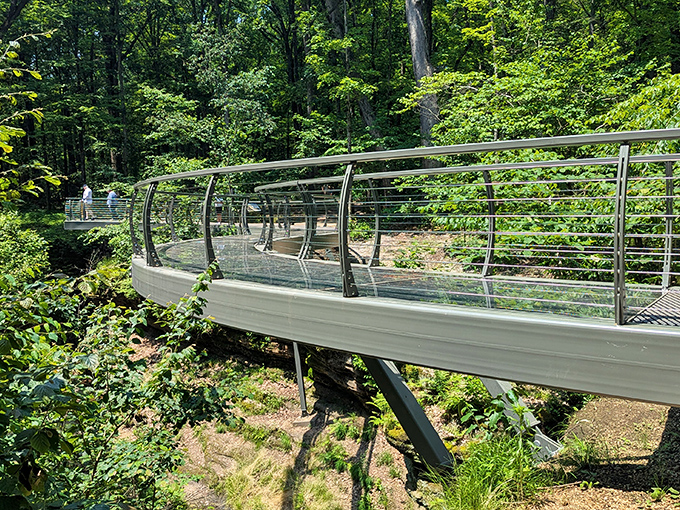 Winter transforms Devil's Icebox into a frozen wonderland. Nature's ice sculptures hang from ancient sandstone, creating a magical underground gallery worth the chilly trek.