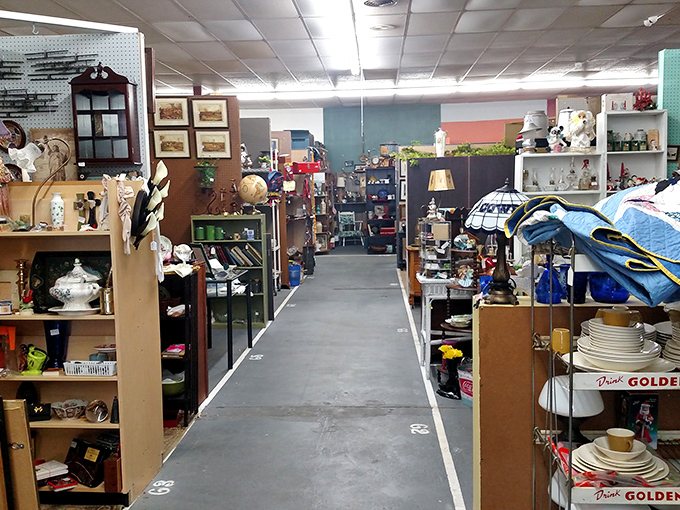 Aisles that stretch into infinity—Mr. Darby's isn't just an antique store, it's a time-travel portal disguised as a retail space.