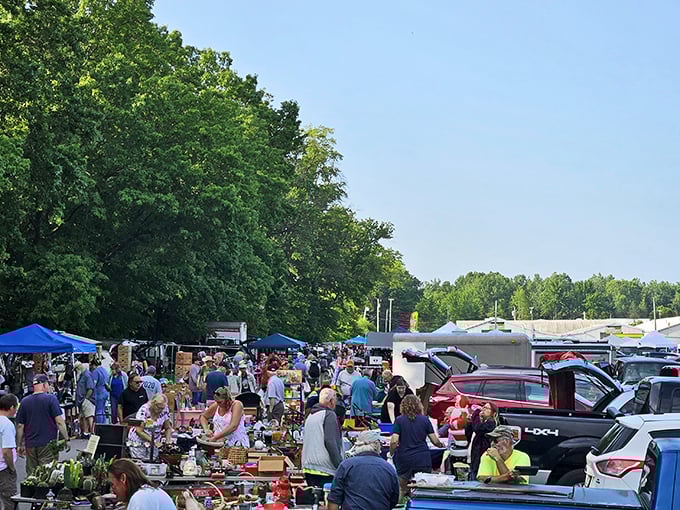 The unassuming exterior of Jamie's Flea Market hides treasures that would make Indiana Jones jealous.