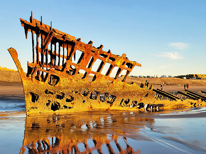 Nature's slow-motion art installation: the rusted skeleton of the Peter Iredale stands defiant against time, a century-old maritime memorial on Oregon's unforgiving coastline.