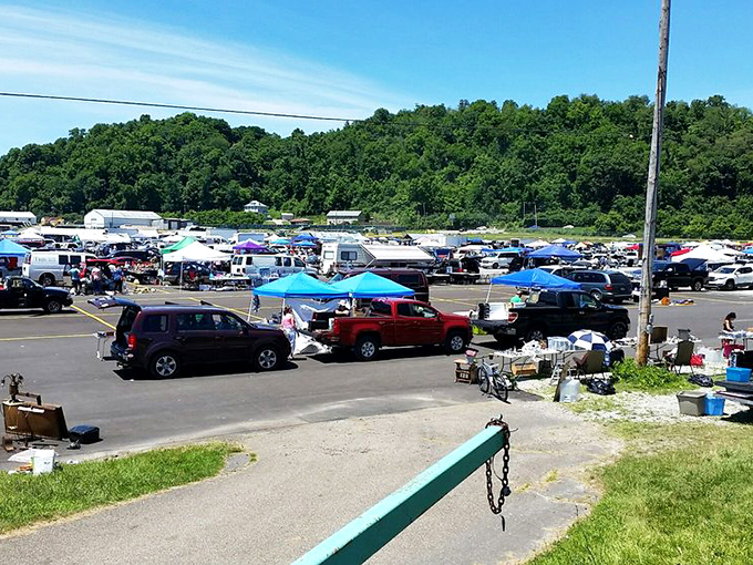 The sprawling landscape of Trader Jack's on a perfect Pennsylvania summer day—where treasure hunting becomes an Olympic sport for the determined bargain seeker.