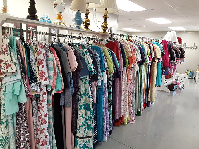 Step into treasure-hunting paradise! Twice But Nice's meticulously organized aisles promise discoveries that'll have you texting friends: "You won't believe what I just found!"