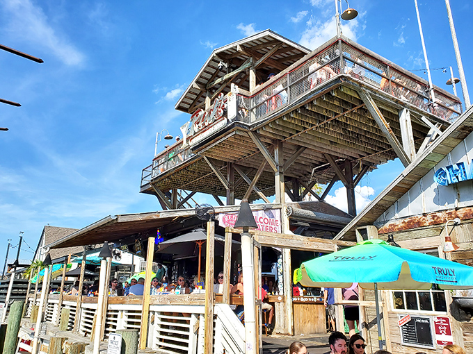 Weathered wooden decks and swaying palms welcome you to Red's Ice House, where coastal charm meets seafood paradise on Shem Creek.