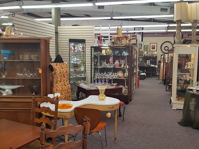 Step into this wonderland of yesteryear where every aisle promises discovery. The organized chaos somehow makes perfect sense to treasure hunters.