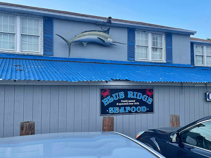 The unassuming blue-gray exterior hides seafood treasures within, like finding Neptune's pantry tucked away on Route 29.