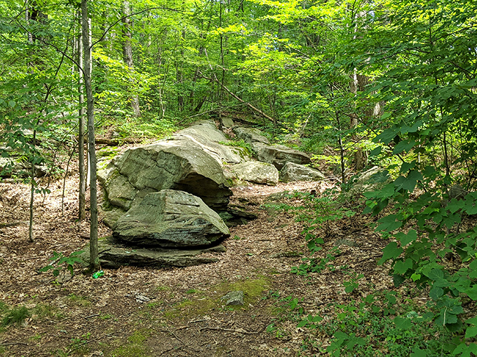 Nature's sculptural gallery on display. Massive rock formations peek through the vibrant forest canopy, a perfect prelude to the main geological attraction.