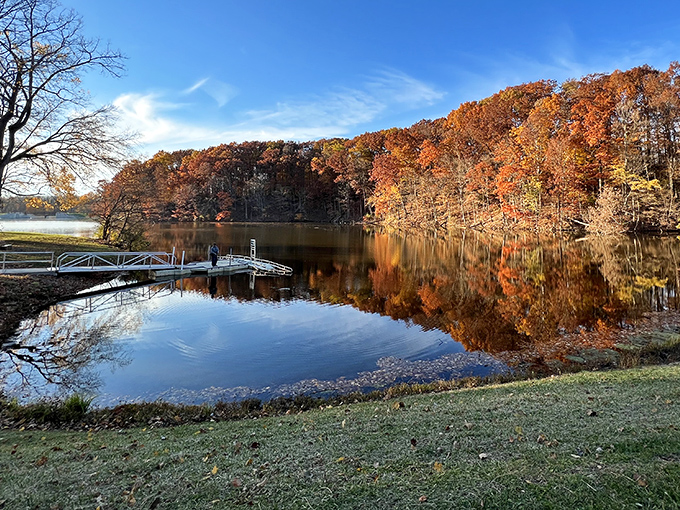 Nature's perfect mirror act &ndash; Mt. Gilead's lake reflects autumn foliage with such precision you'll wonder which side is the real show.