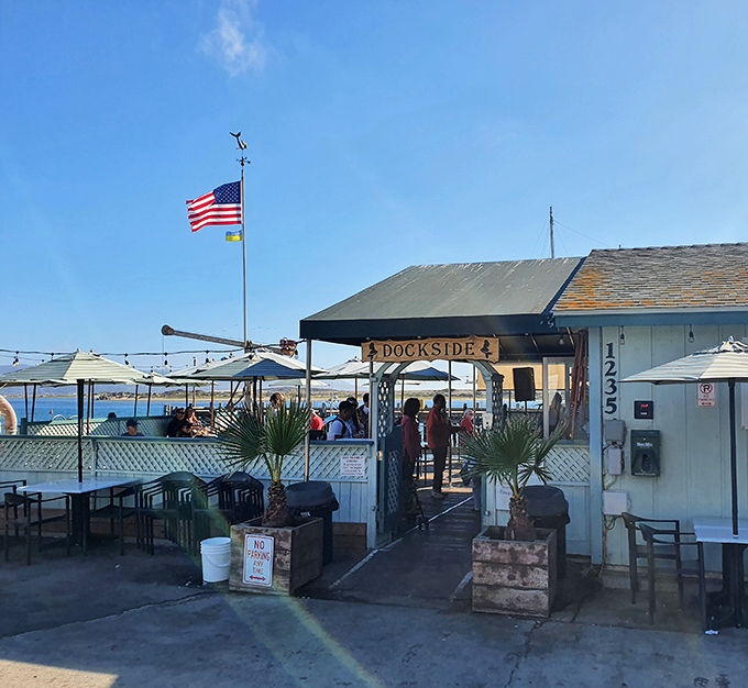 The waterfront welcome wagon! Tognazzini's Dockside Too offers seaside dining where the ocean breeze comes complimentary with every meal.