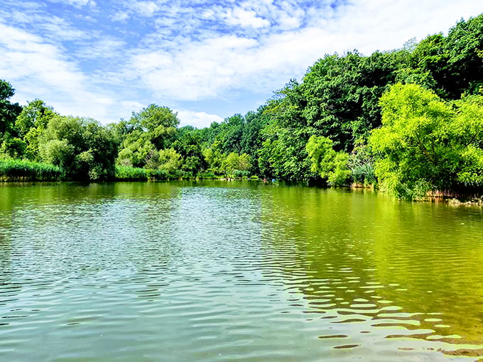 The stillness of this hidden waterway gives you front-row seats to nature's most peaceful show. Forget Netflix&mdash;this is the kind of streaming worth subscribing to.