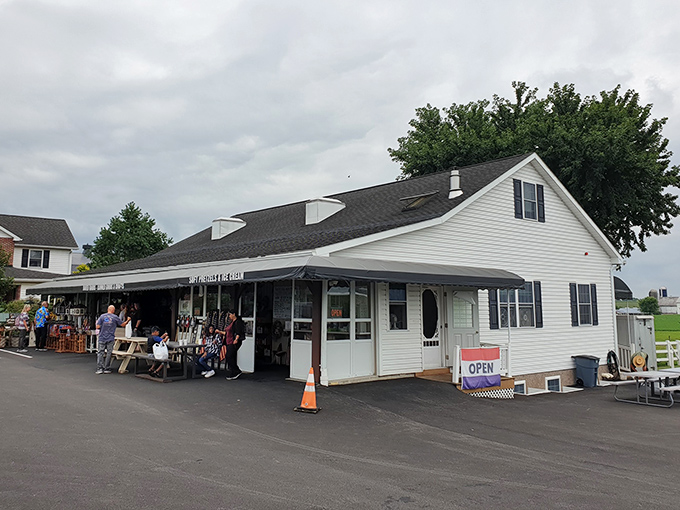 The unassuming exterior of Amish Store 31 proves once again that culinary treasures often hide in plain sight, waiting for curious food adventurers to discover them.