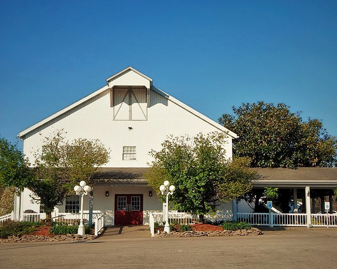 The stately white exterior of Gasthof Amish Village stands like a culinary lighthouse, beckoning hungry travelers with the promise of comfort food that transcends trends.